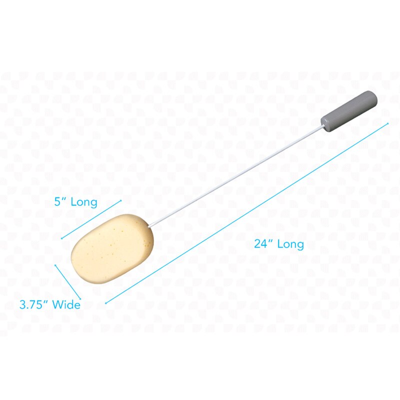 Long-Handled Sponge 24'' | ERP Group